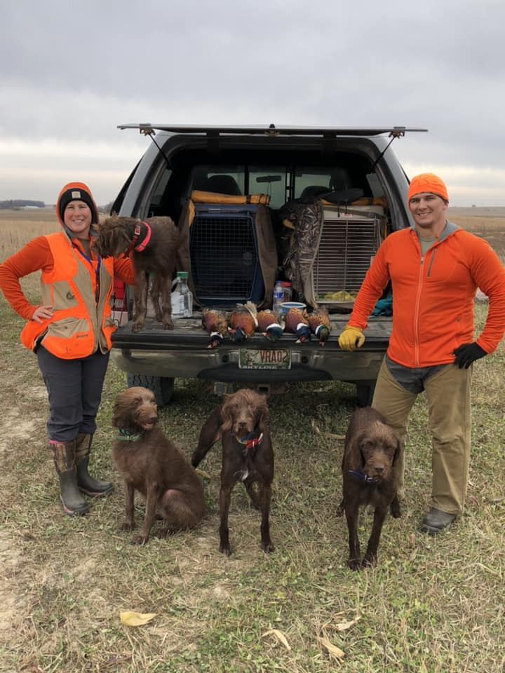 Pudelpointer | Pudelpointer Breeders | Lone Pine Pudelpointers