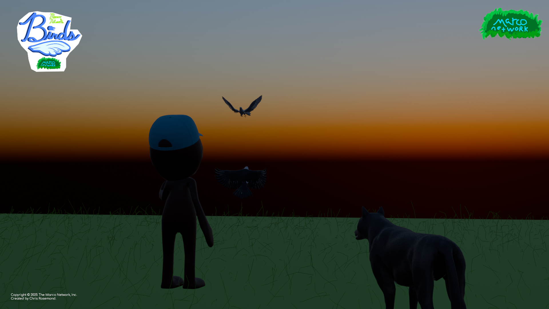 Marco Network's Birds (New MarcoToons Series) | Marco Net Animation