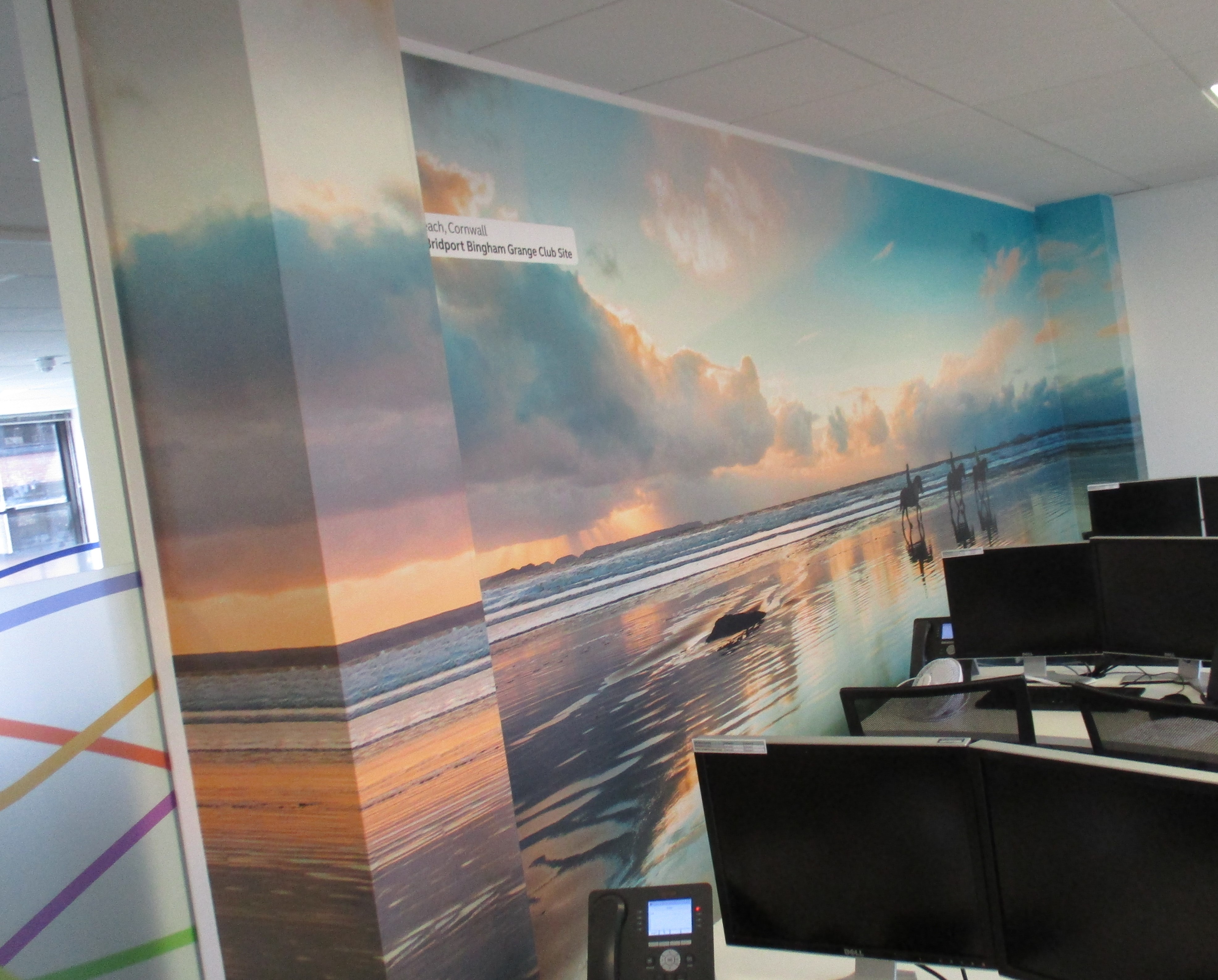 Wall Wrapping | Decoration | Blue Lizard Signs