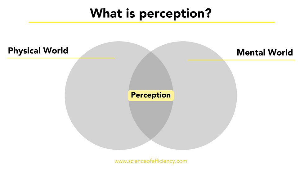 The Perceptual Process: How We React to Stimuli
