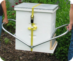 Hive Carrier | Johnsons Bees