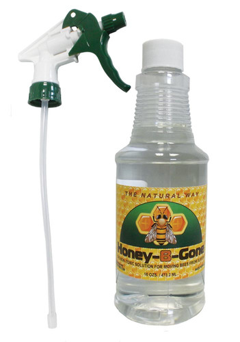 Honey B Gone | Johnsons Bees