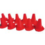 Conical Bee Escape/Plastic | Johnsons Bees