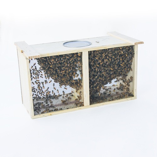 Bee Package(s) with Marked Queen | Johnsons Bees