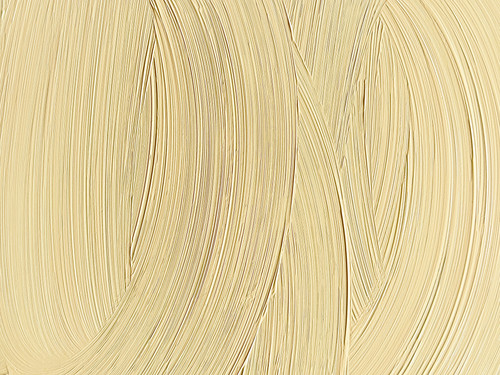 Naples Yellow Hue Oil Paint | Joules & Joules | Joules & Joules