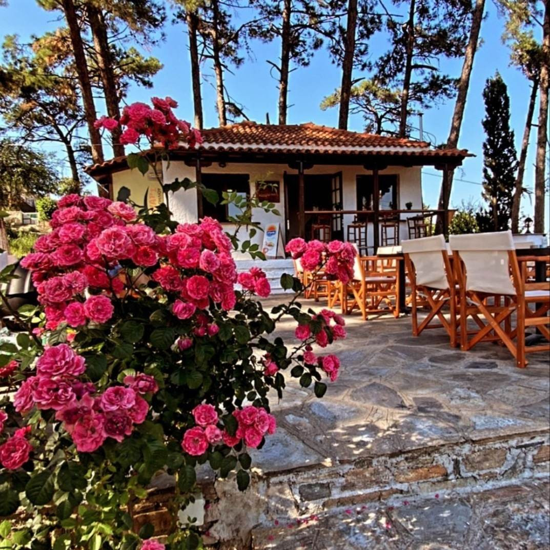 Koukounari | Siki Pelion