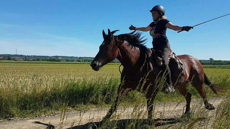 La Chevauchée débridée | horseescape