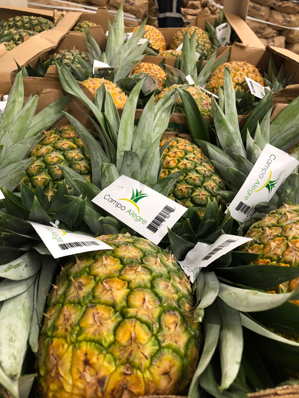 Puerto Rico envía productos frescos a New York