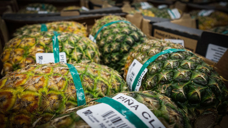 Puerto Rico envía productos frescos a New York