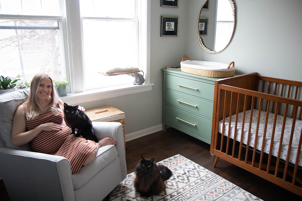 Bringing Home a New Baby to your Cats