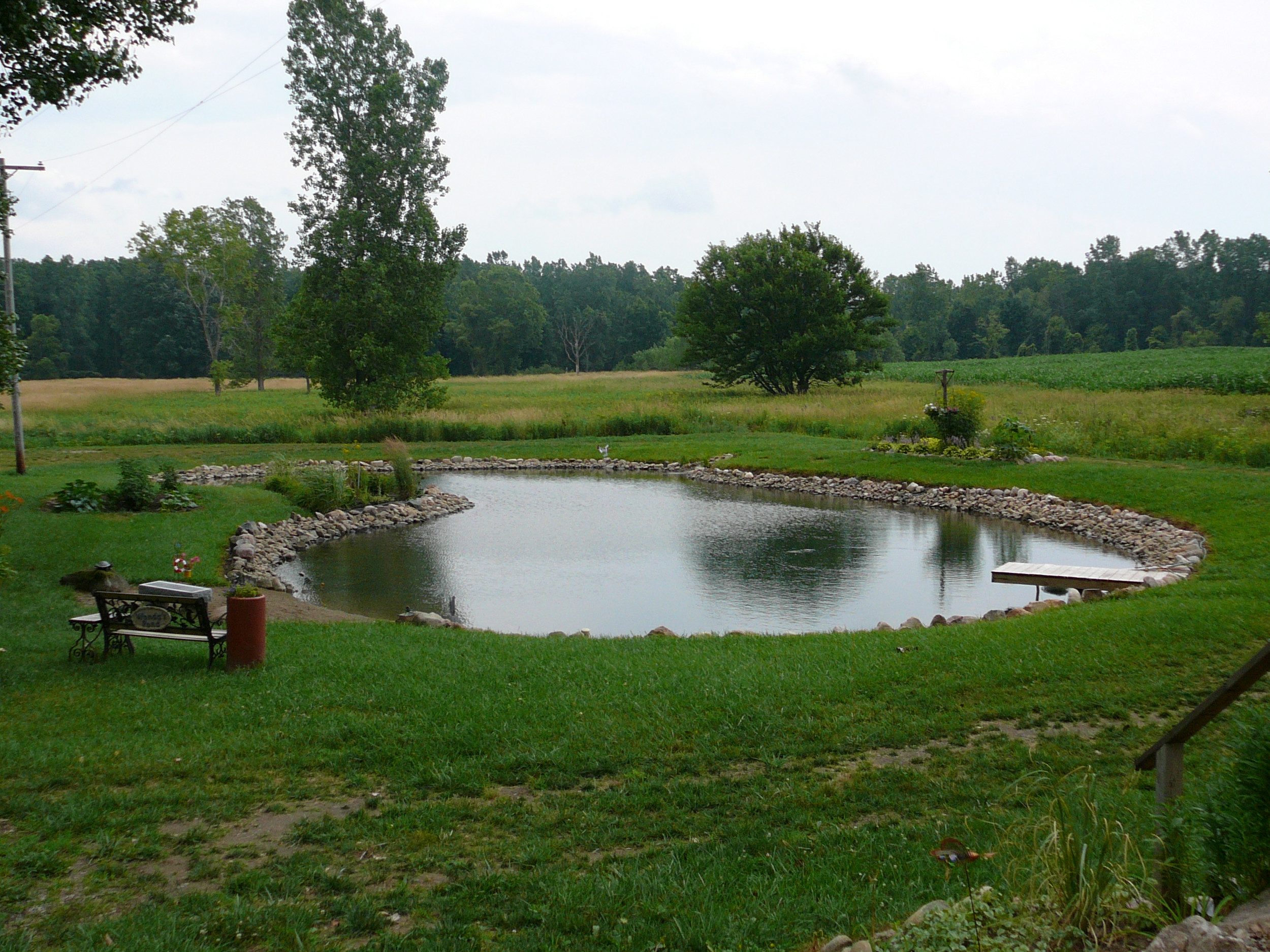 Design/redesign | Ponds for you | United States