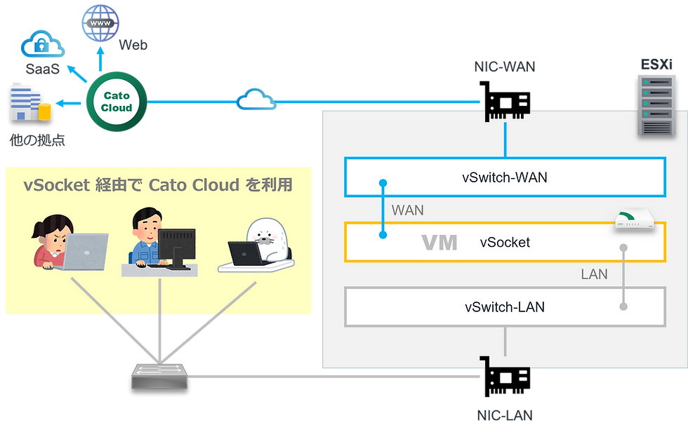 Cato Socket | FuvaBrain Cato
