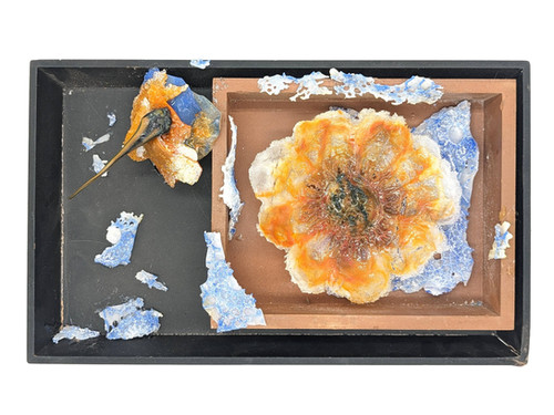 Deconstructed Flower | littleflystudios