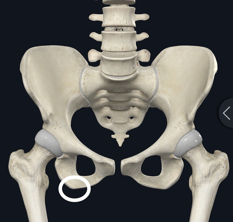 Effective Pelvic Alignment Techniques for SI and Back Pain Relief