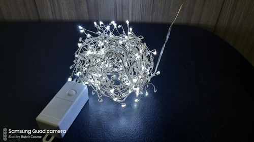 Fairy Moving Centipede | PMC Online Shop