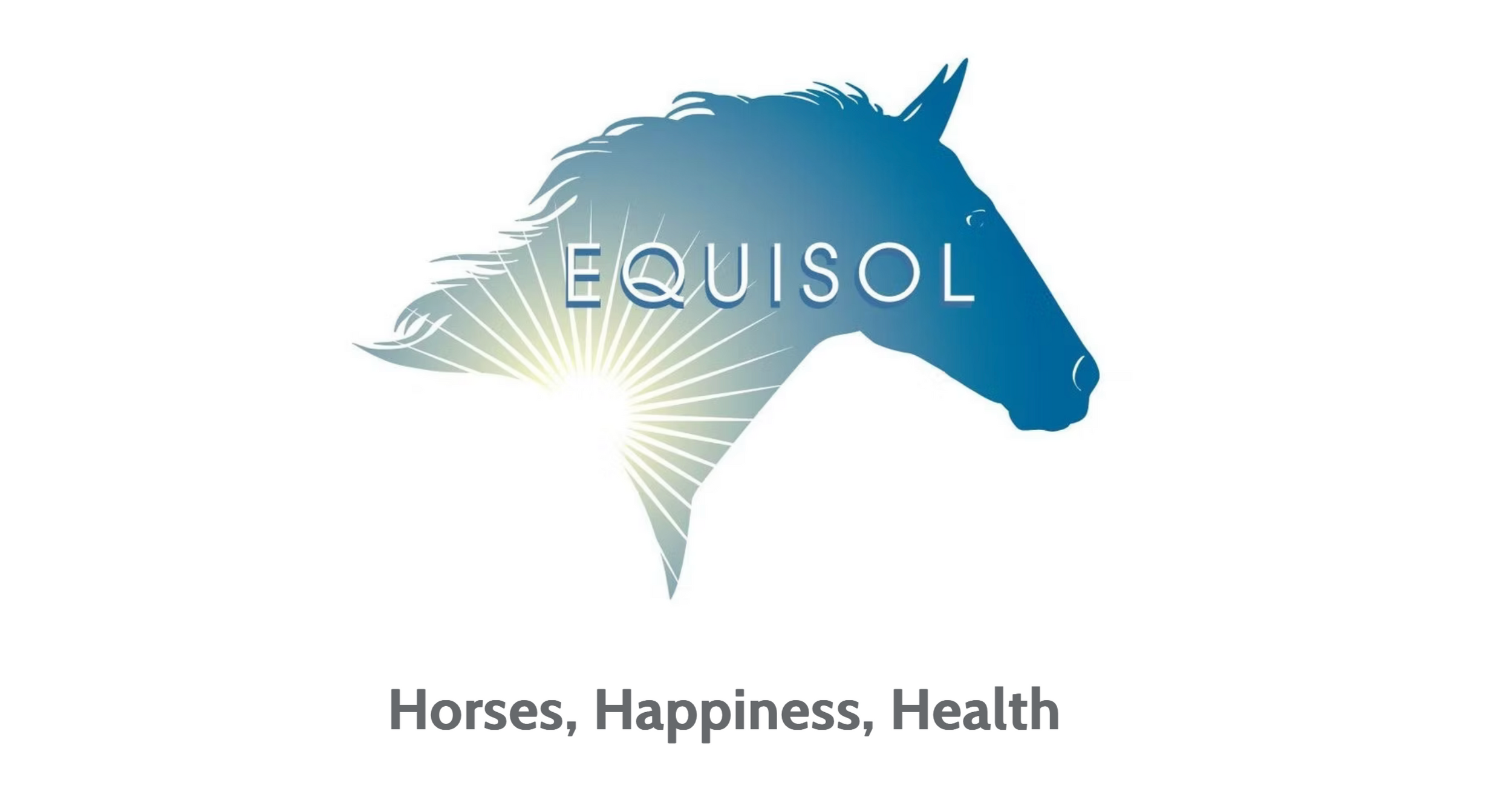 Equisol Adaptive Horsemanship | Horseback Riding | 11420 Fir Drive ...