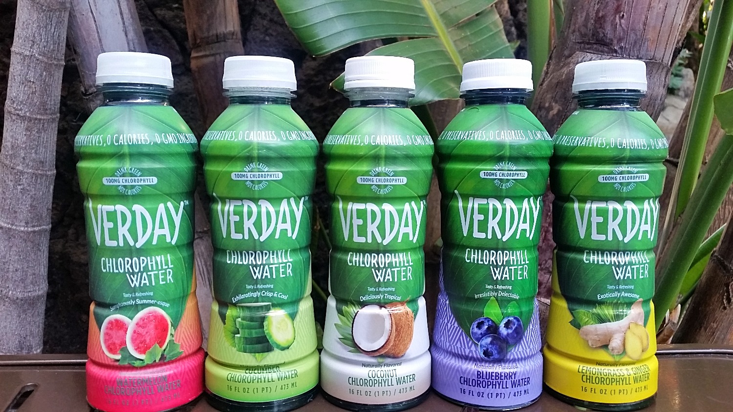 Verday Chlorophyll Water Available in San Diego – Eat, Drink, Be San Diego