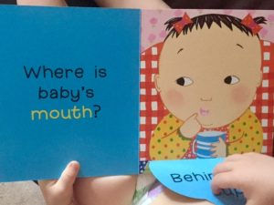 Where is Baby's Belly Button Language Activities
