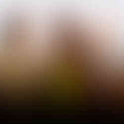 Speaking Test Model Answers | Fast Forward IELTS