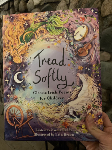 Tread Softly: Classic Irish Poems for Children | The amEIREcan