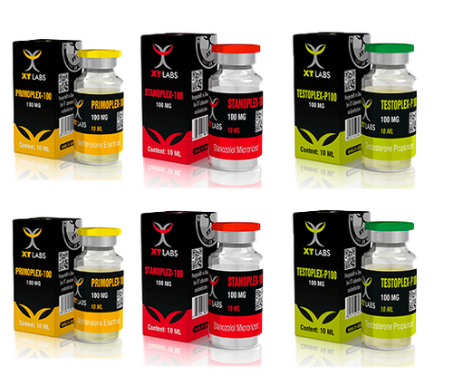 Ciclo Principiante Definición XT Labs | Complementos y Suplementos ...