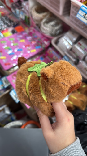 Pulsera capybara | Casa Frottis Mayorista