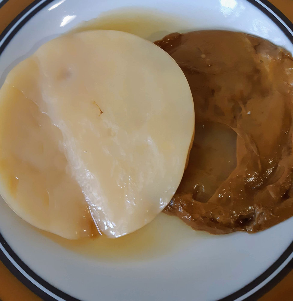 What Should My SCOBY Look Like?