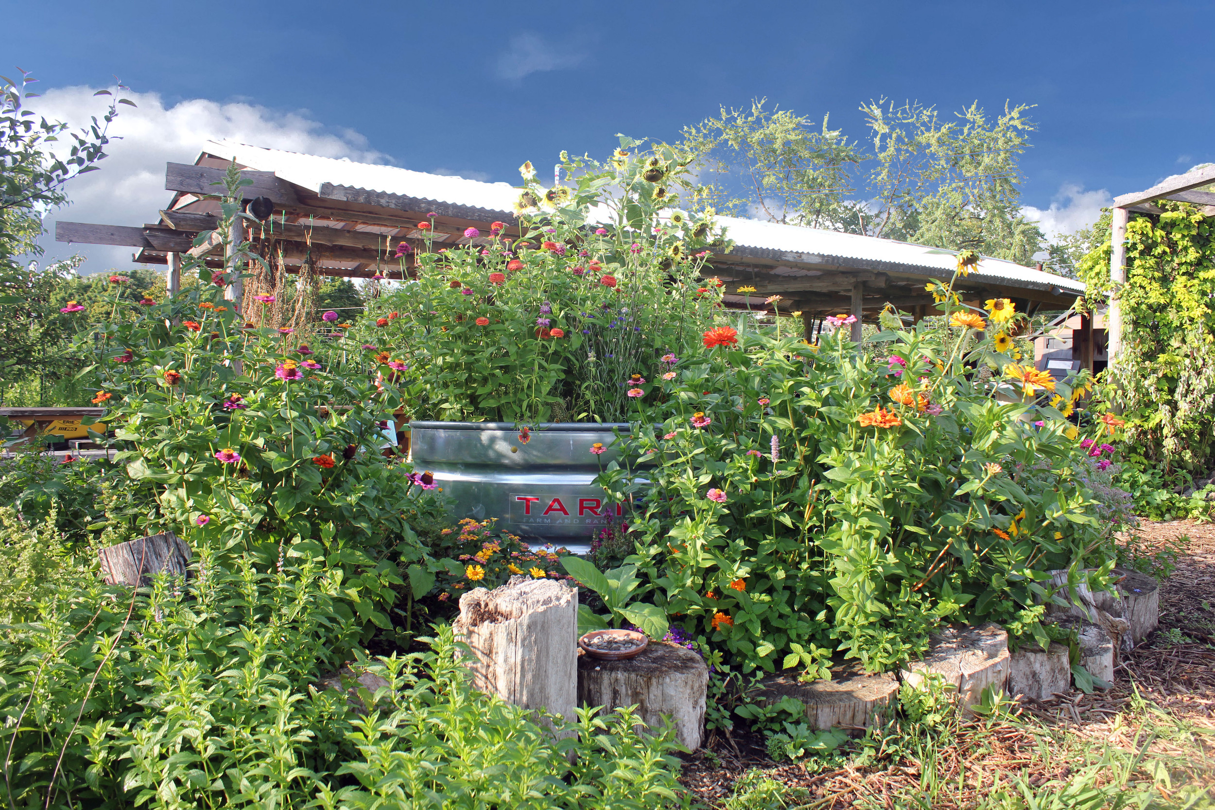 About PACT | PACT Urban Peace Program | Toronto