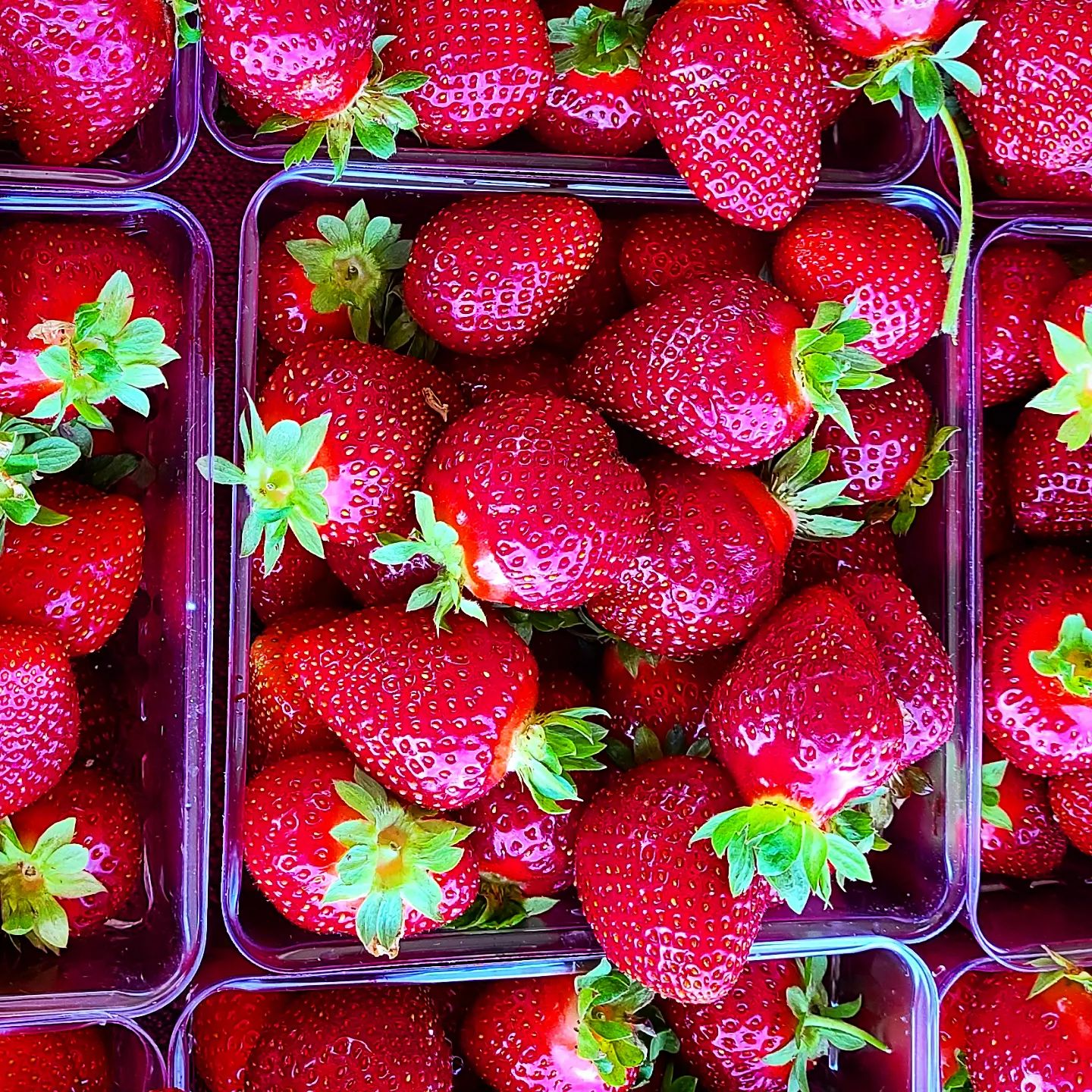 McAdams Farm | Efland | Pick-your-own Strawberries | Local Vegetables ...