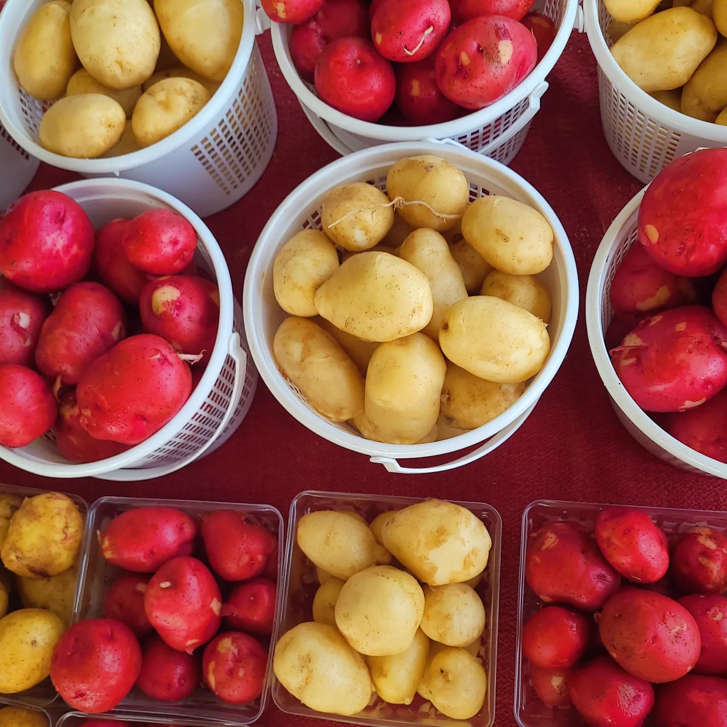 McAdams Farm | Efland | Pick-your-own Strawberries | Local Vegetables ...