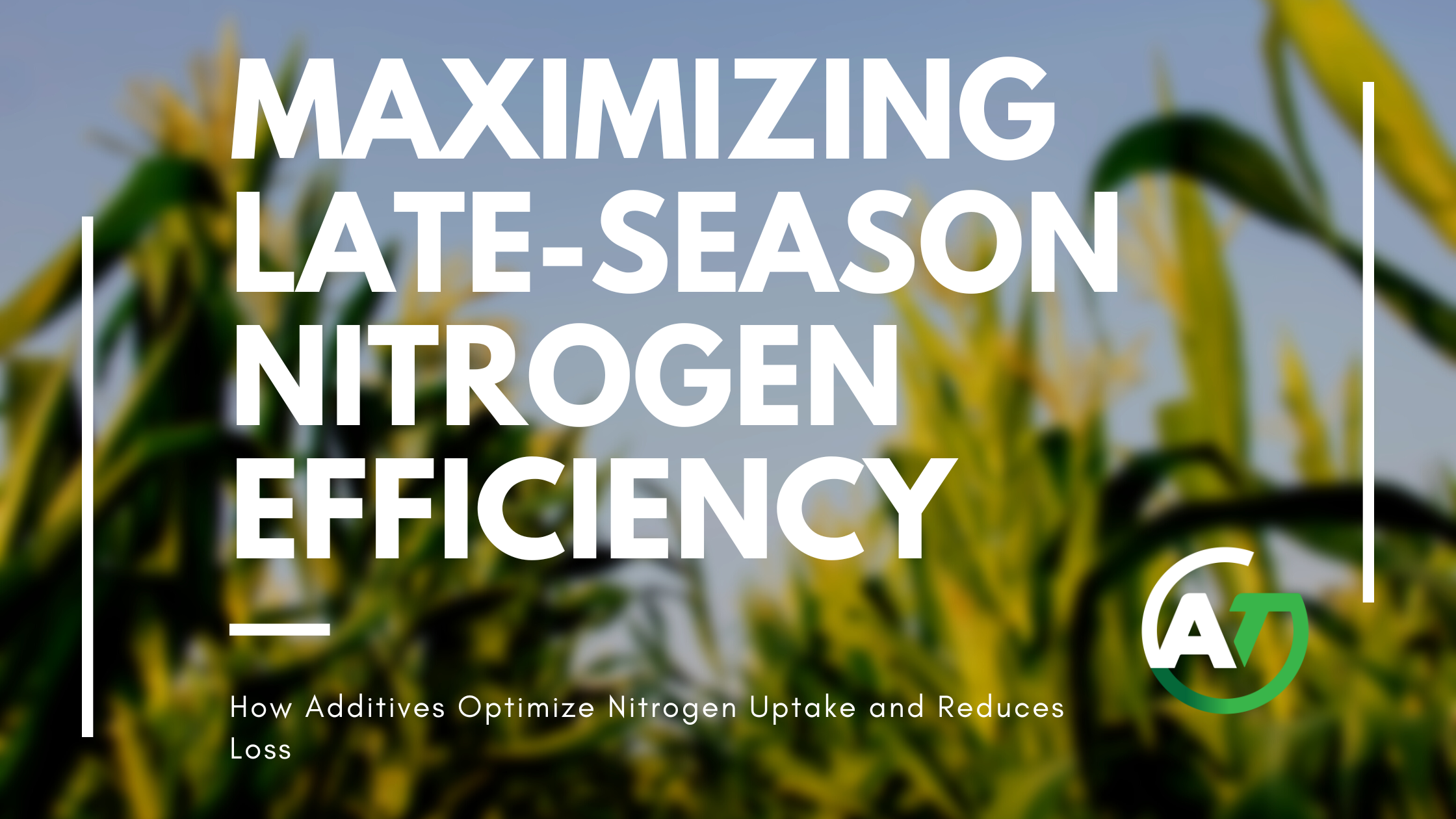 Maximizing Late-Season Nitrogen Efficiency: How Additives Optimize ...