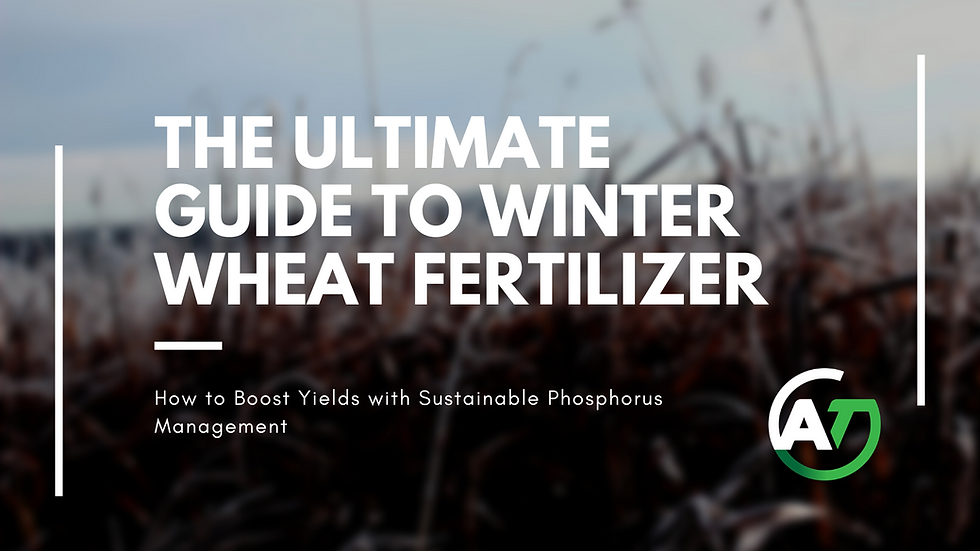 The Ultimate Guide to Winter Wheat Fertilizer: Boost Yields with ...