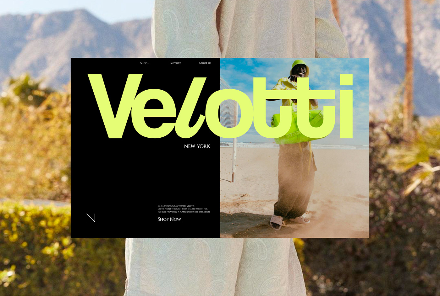 Velotti