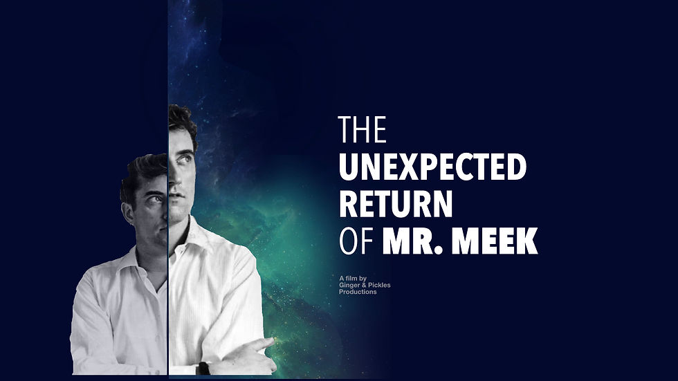 The Unexpected Return of Mr. Meek, TUROMM | Joe Meek