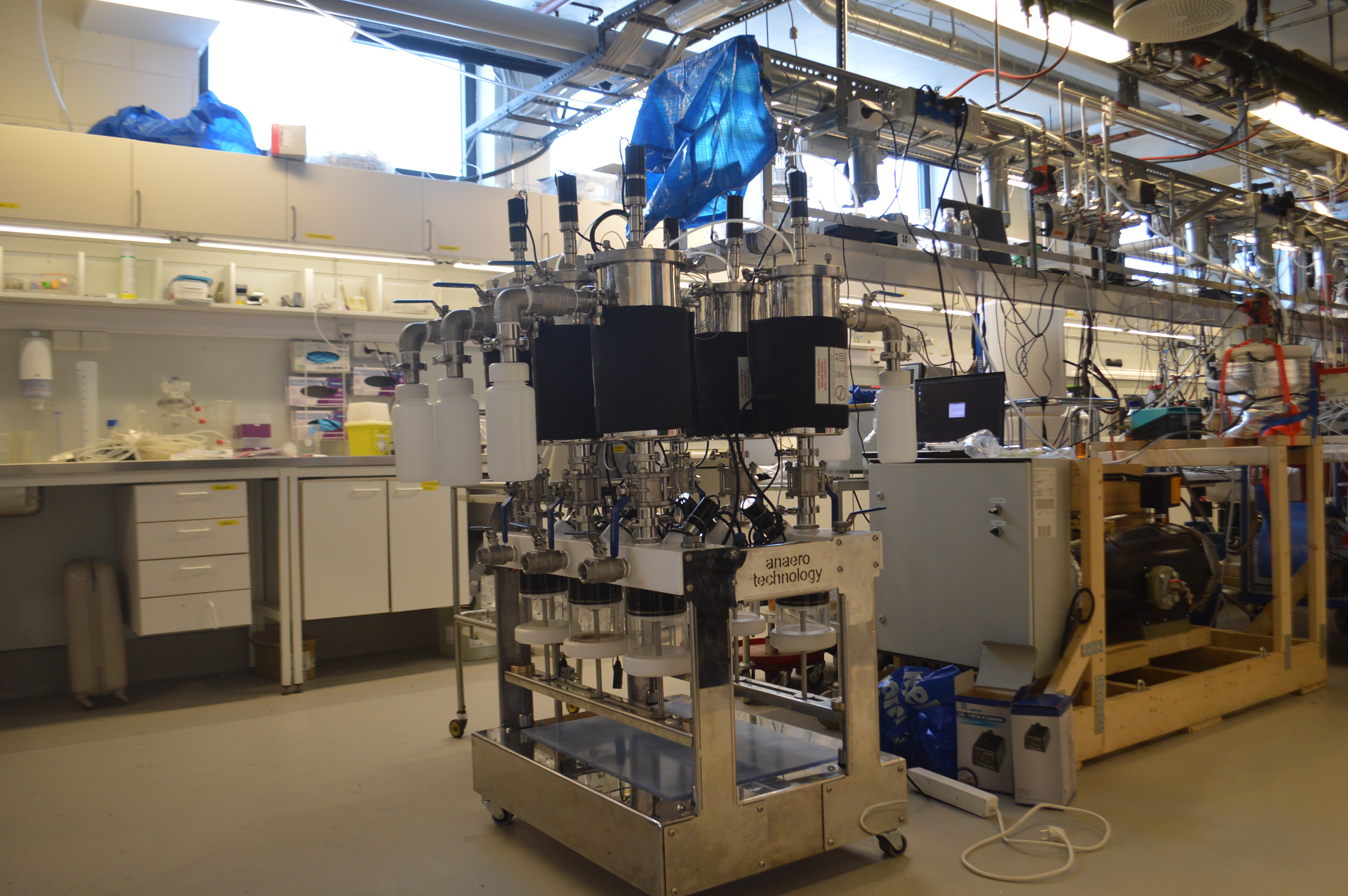 Home | BUSINESS NAME