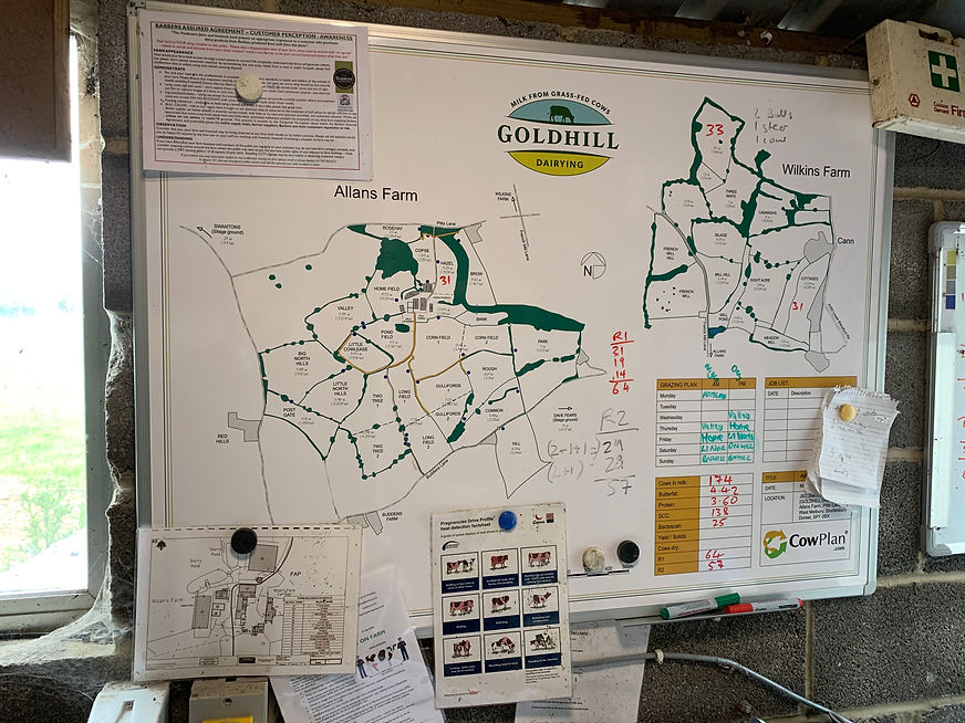 Cow housing | South West England, UK | Cow Plan Ltd.