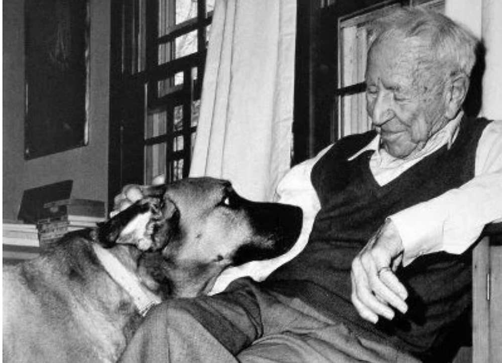 Alexander Lowen e la storia della Bioenergetica