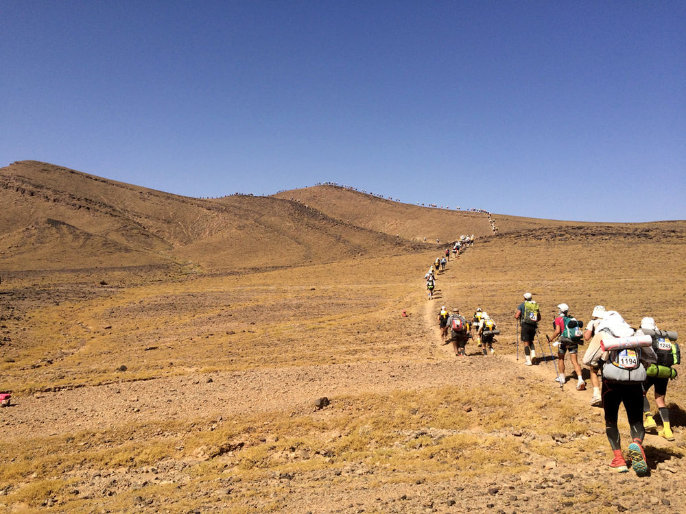 Surviving the Sahara