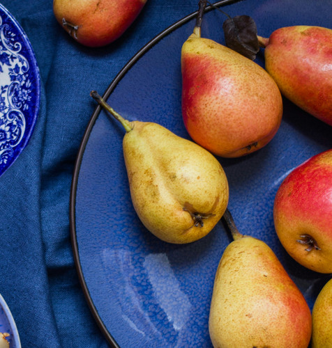 Flemish Beauty Pear Tree | Maple Grove Nurseryhttps://static.wixstatic ...