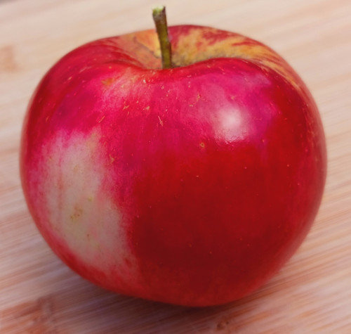 Akané | Maple Grove Nurseryhttps://static.wixstatic.com/media/db20eb ...