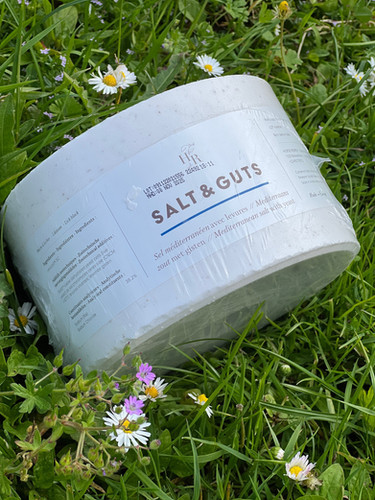 Horse Remedy - Salt & Guts | YUMMYPONY