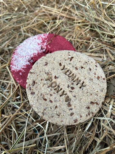 Maxi Yummy 🍪 Banane - Lin / Gamme Digestion 🌿 | YUMMYPONY