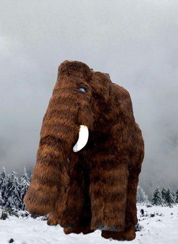 Mammoth costume | AnyRobots Studio