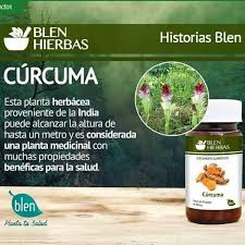 capsulas curcuma | Misitio