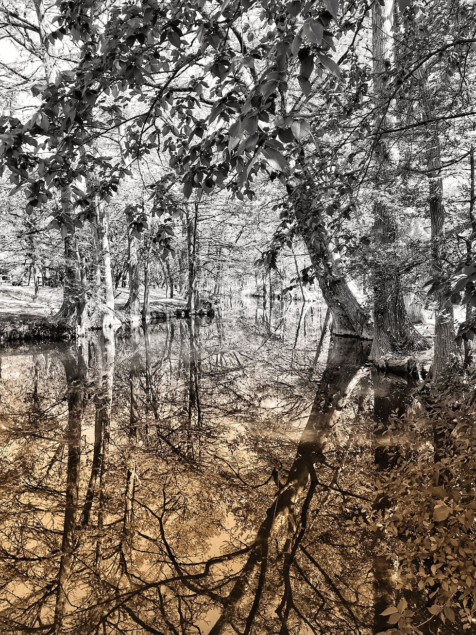 bootiful wimberley, boot project, boots wimb