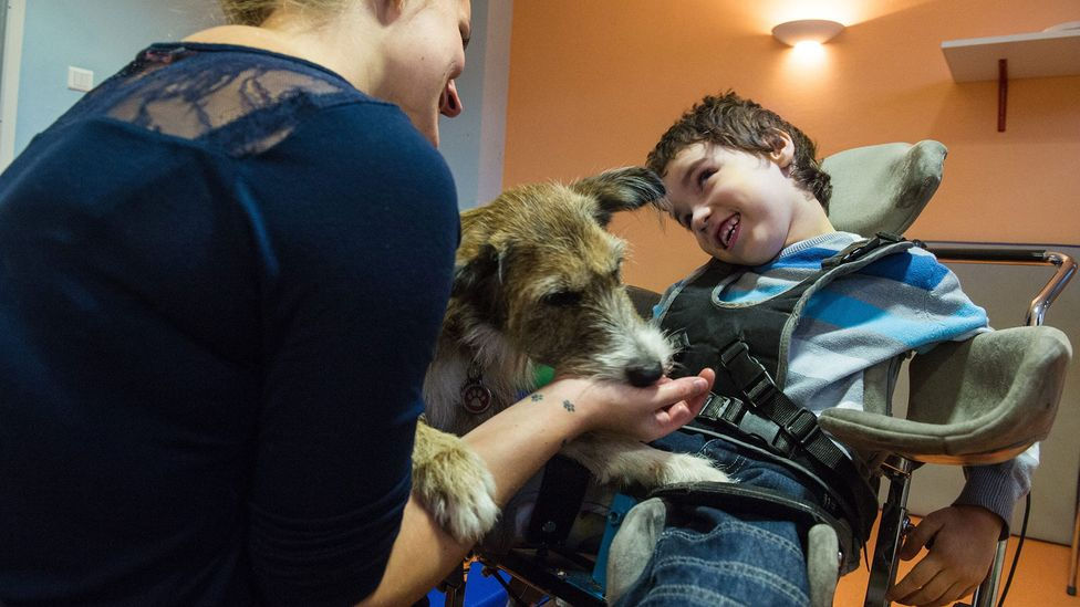 How Pets Can Give Your Children A Brain Boost how-pets-can-give-your-children-a-brain-boost