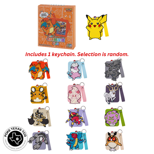 Pokemon Charizard & Friends Card Display Keychain Blind Box [Simplified ...