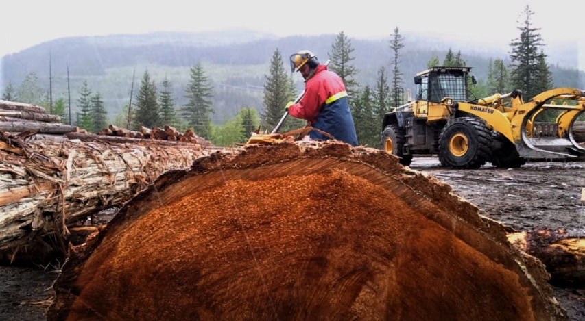 About Us | Rok Builders