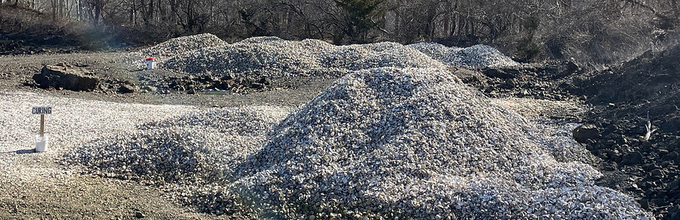 Shell Recycling | CORR