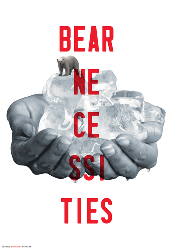 Bear Necessities | Littleshop